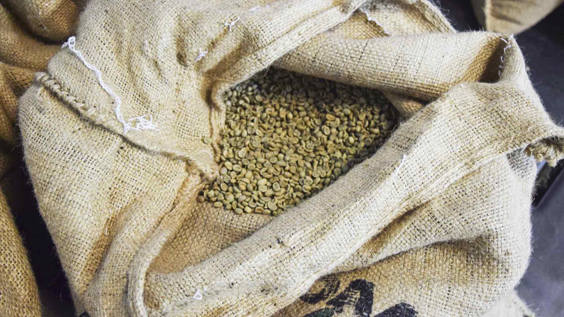 Quintal De Caf Qu Es Cu nto Pesa Y Cu l Es El Origen De Su Nombre 