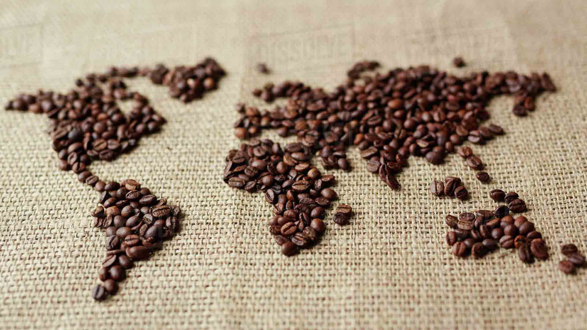 Qué es el café. Conoce un poco de historia y del origen de su nombre